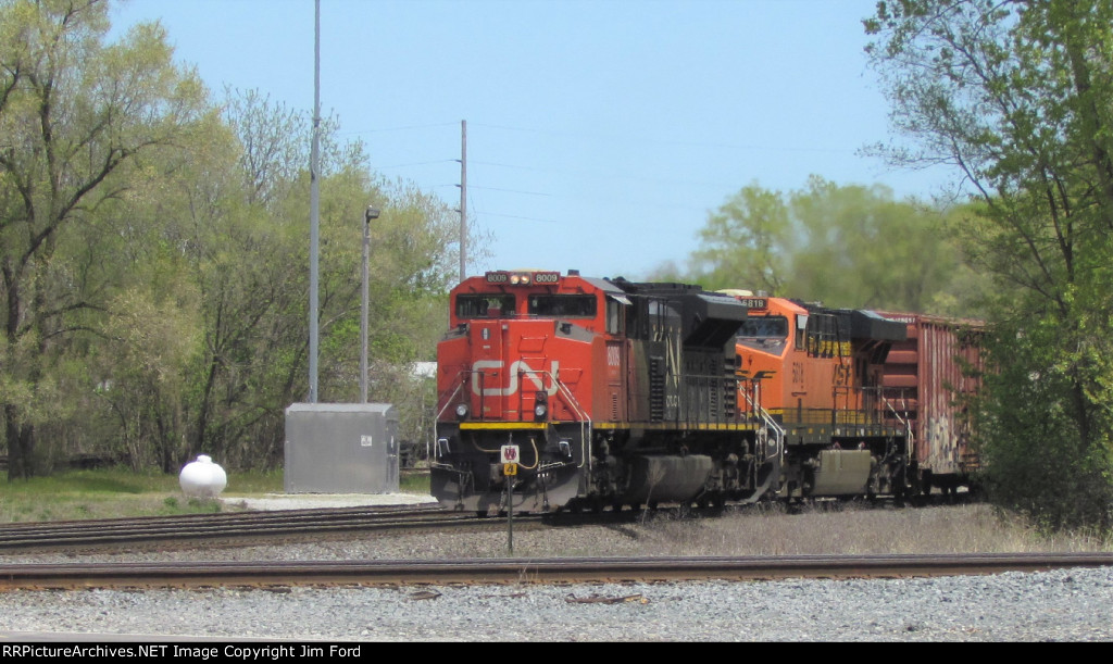 CN 8009